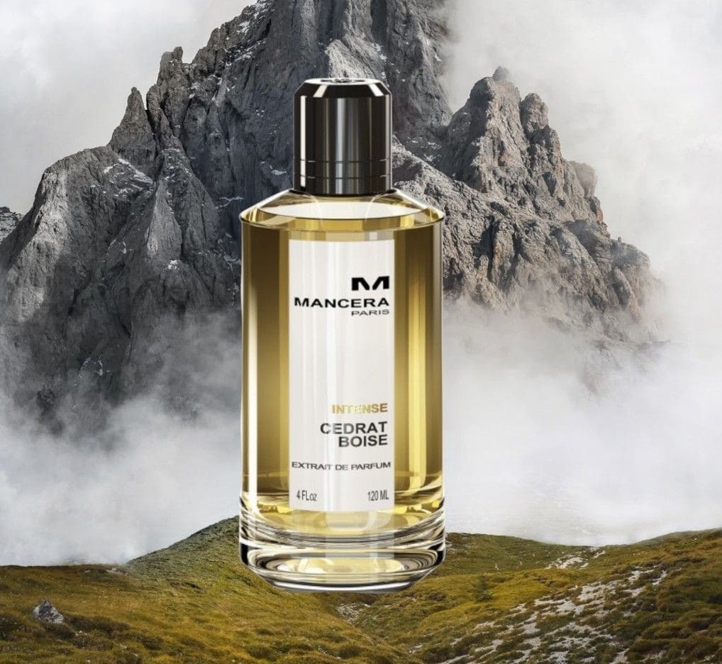 Top 20 Parfumuri De Vara Pentru Barbati - Replique Parfumerie