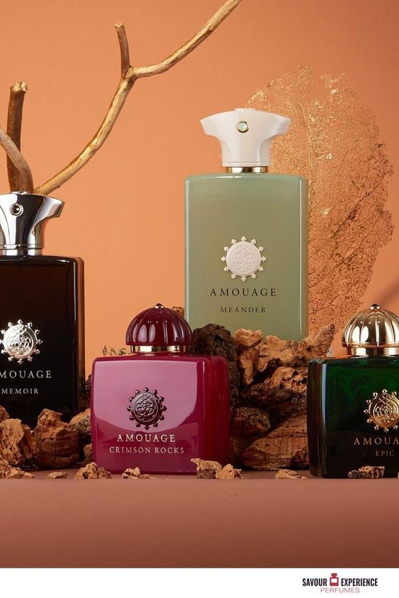 Segmentele de Parfumerie: Diversitatea Aromelor și Mărcilor de pe Piață ...