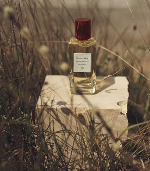 Cum parfumul devine limbajul emoțiilor